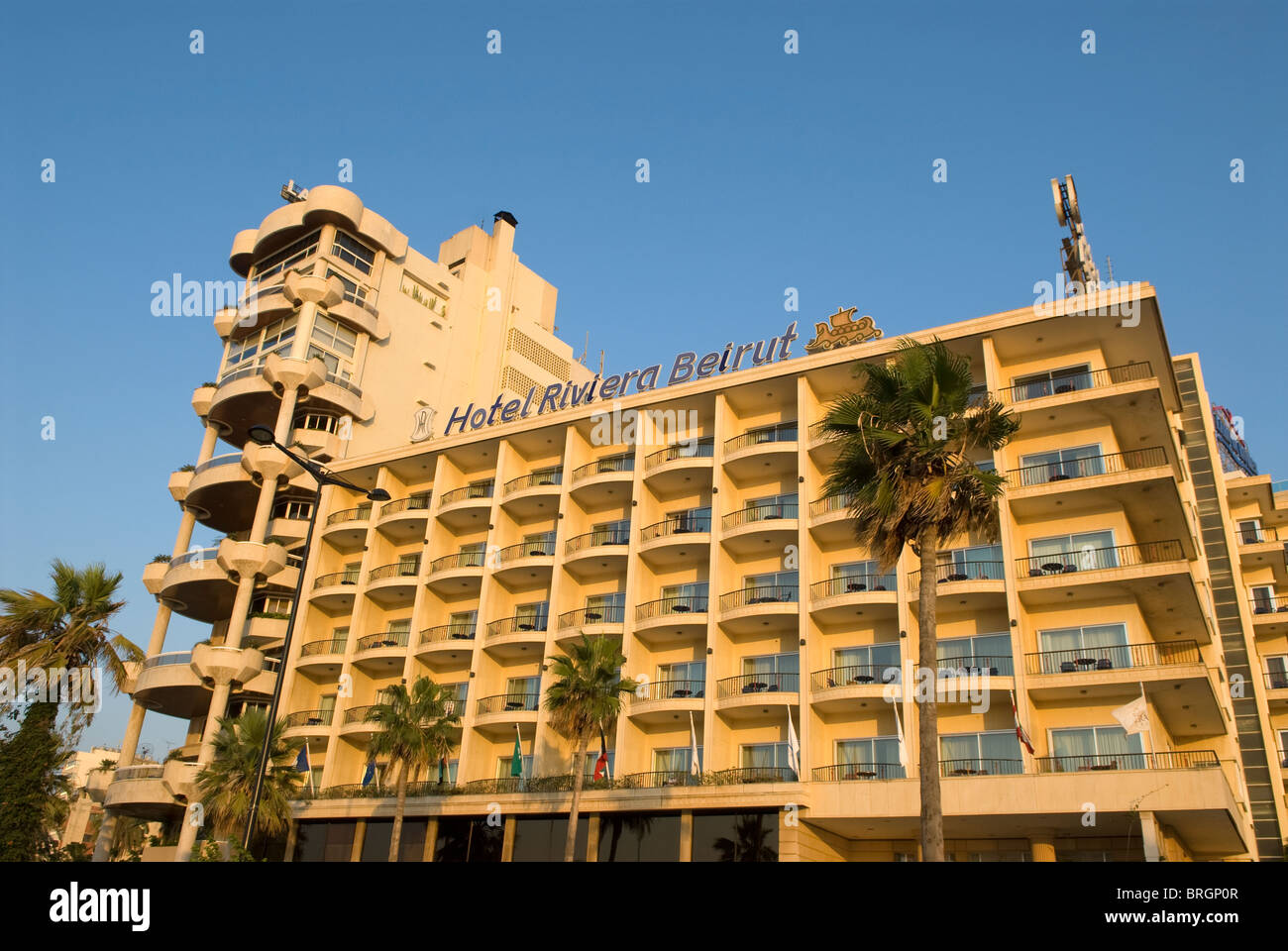 Palm trees beirut lebanon middle -Fotos und -Bildmaterial in hoher ...