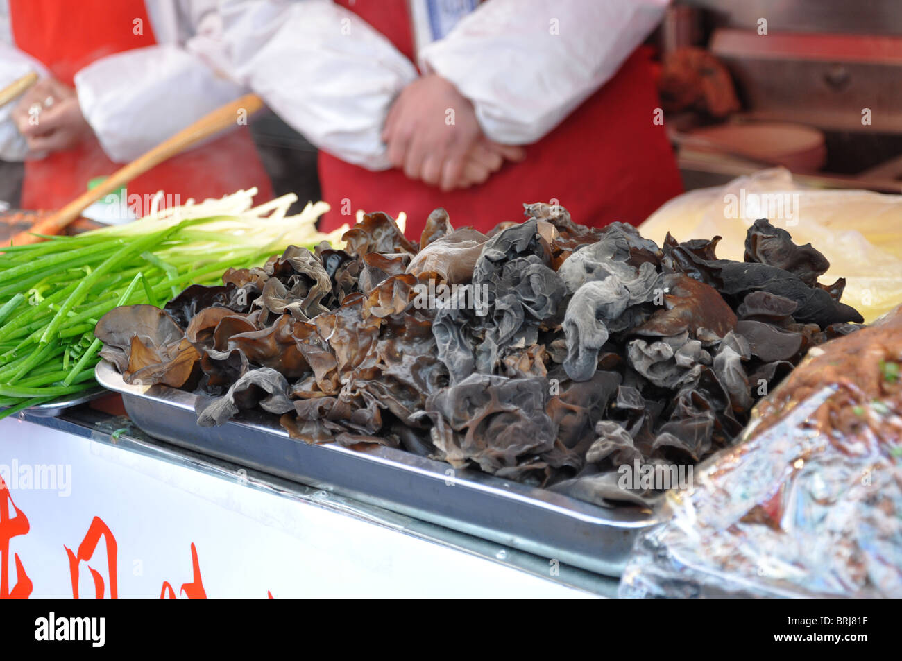 Pilz straße -Fotos und -Bildmaterial in hoher Auflösung – Alamy