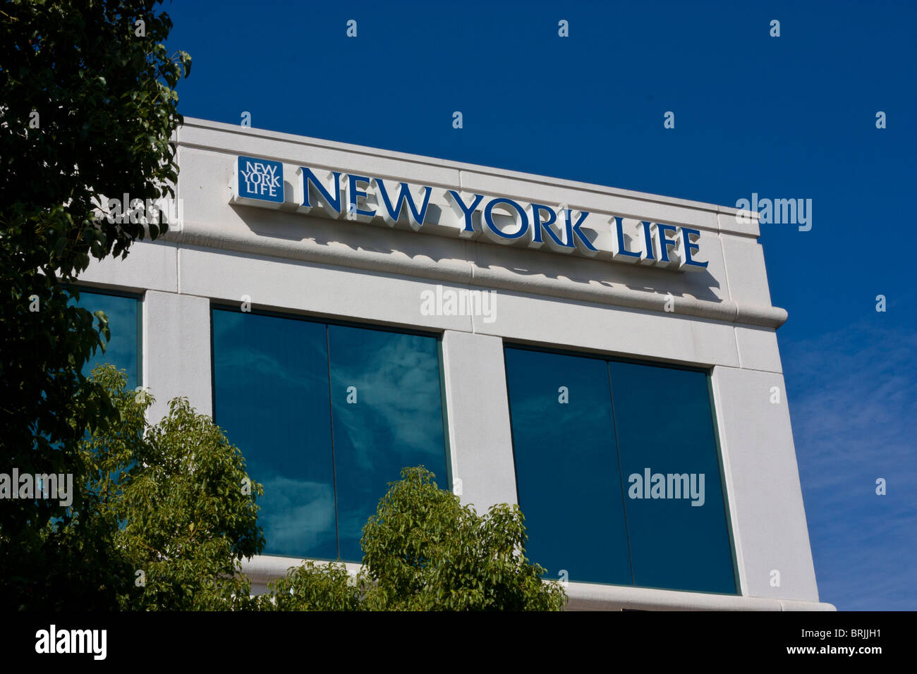 Nuevo logo de vida -Fotos und -Bildmaterial in hoher Auflösung – Alamy