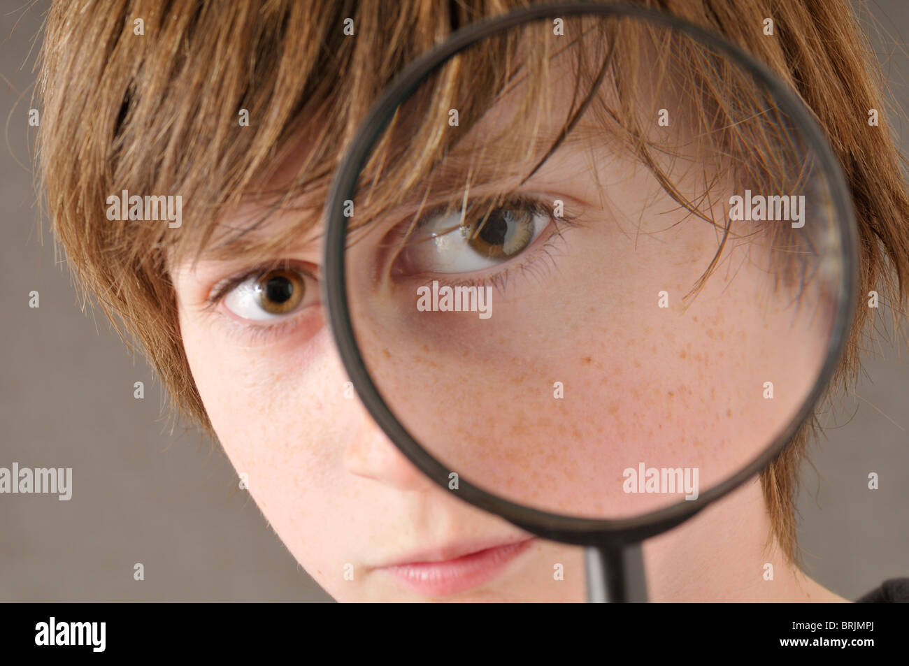 Menschliches haar vergrößert -Fotos und -Bildmaterial in hoher ...