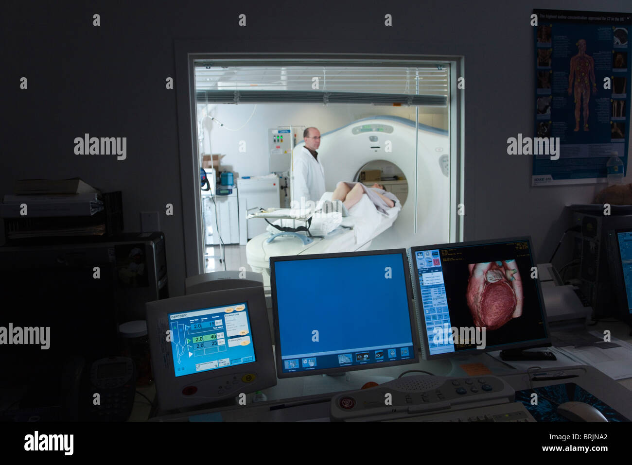 3d cat scan -Fotos und -Bildmaterial in hoher Auflösung – Alamy
