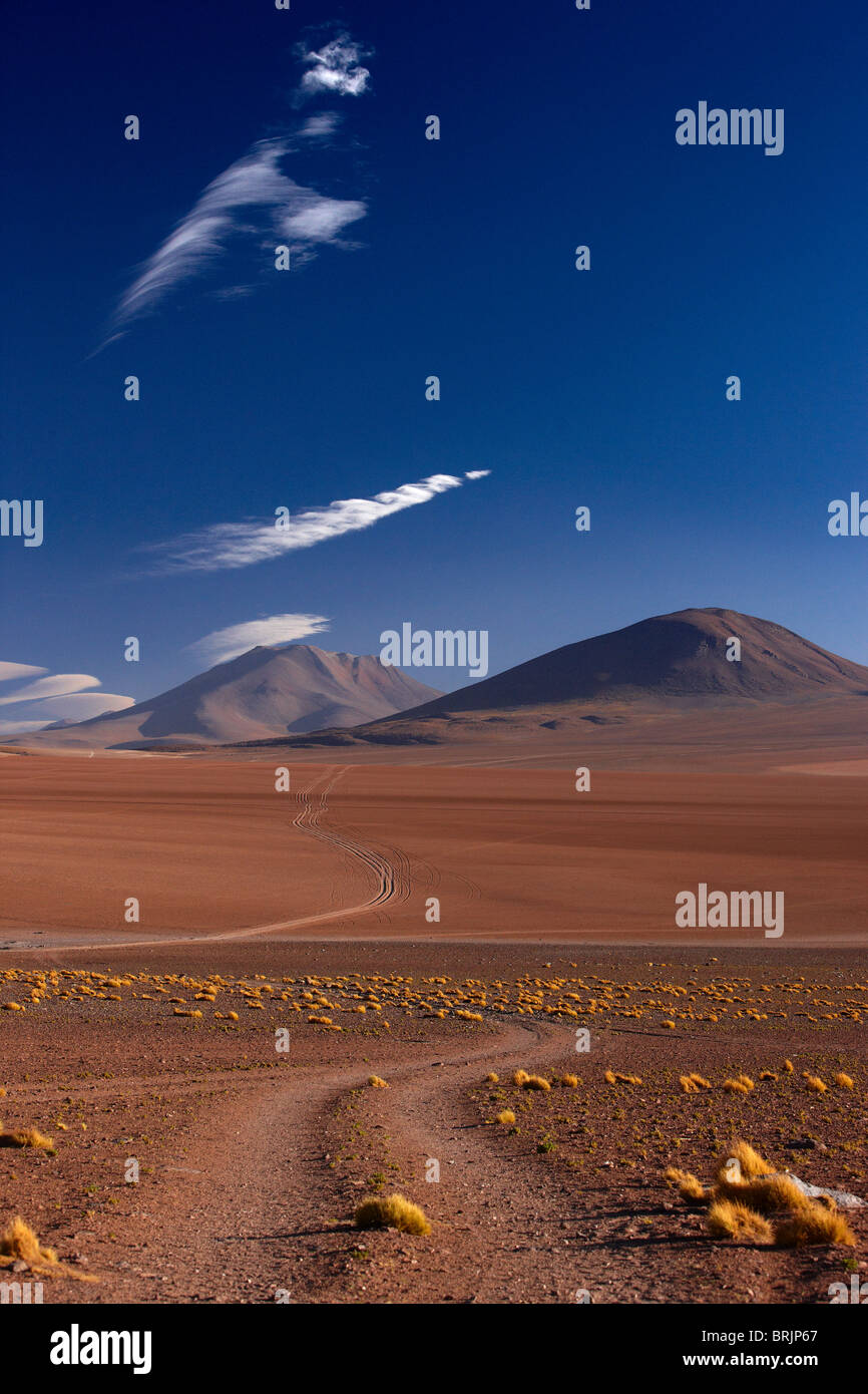 Ojo de perdiz -Fotos und -Bildmaterial in hoher Auflösung – Alamy