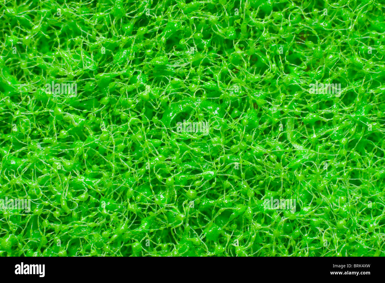 Rasen Bild Stockfotos und -bilder Kaufen - Alamy