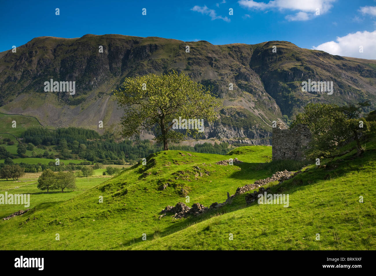 Bram cragg -Fotos und -Bildmaterial in hoher Auflösung – Alamy
