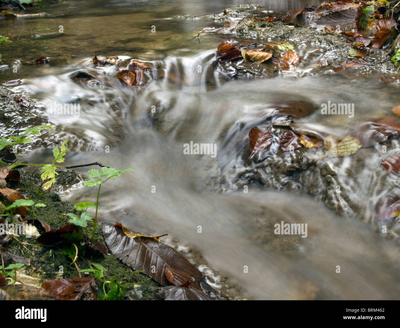 Dusche von wasser -Fotos und -Bildmaterial in hoher Auflösung – Alamy