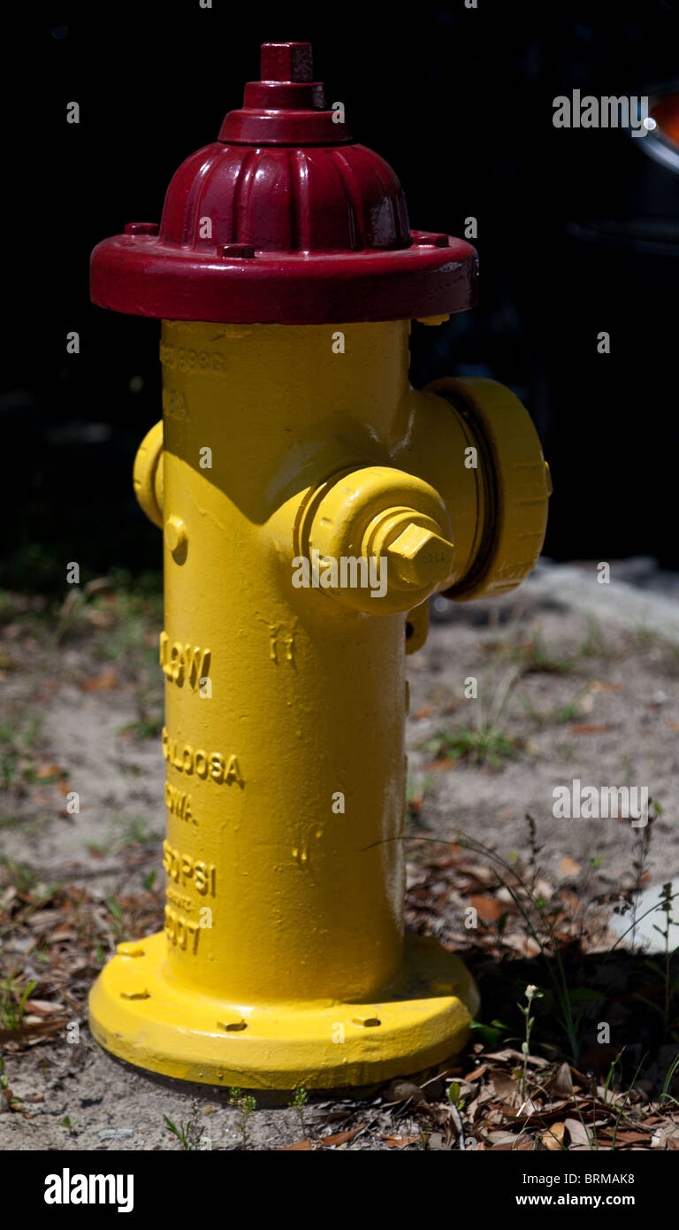 Savanne georgia feuer -Fotos und -Bildmaterial in hoher Auflösung – Alamy