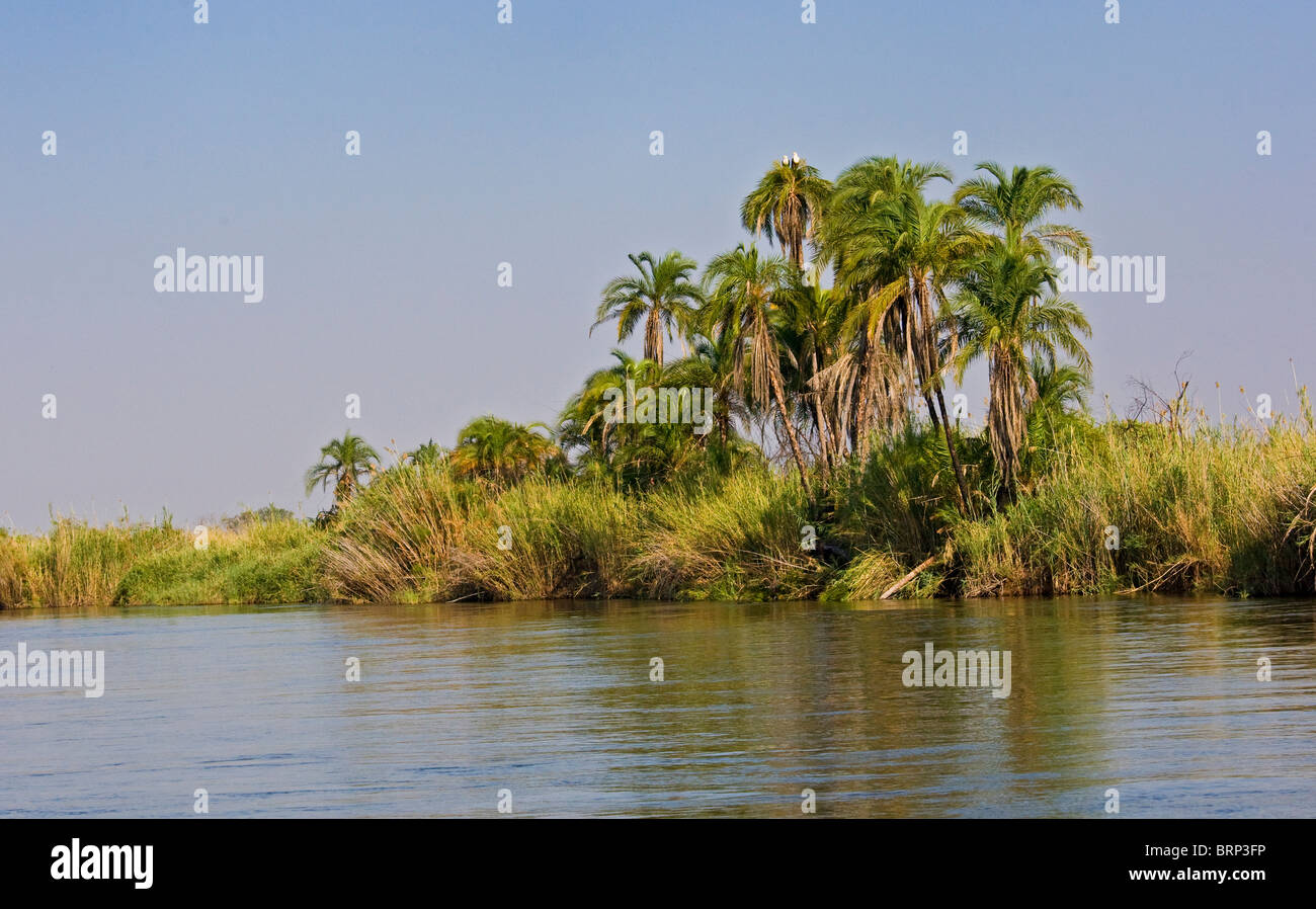 Okavango river -Fotos und -Bildmaterial in hoher Auflösung – Alamy
