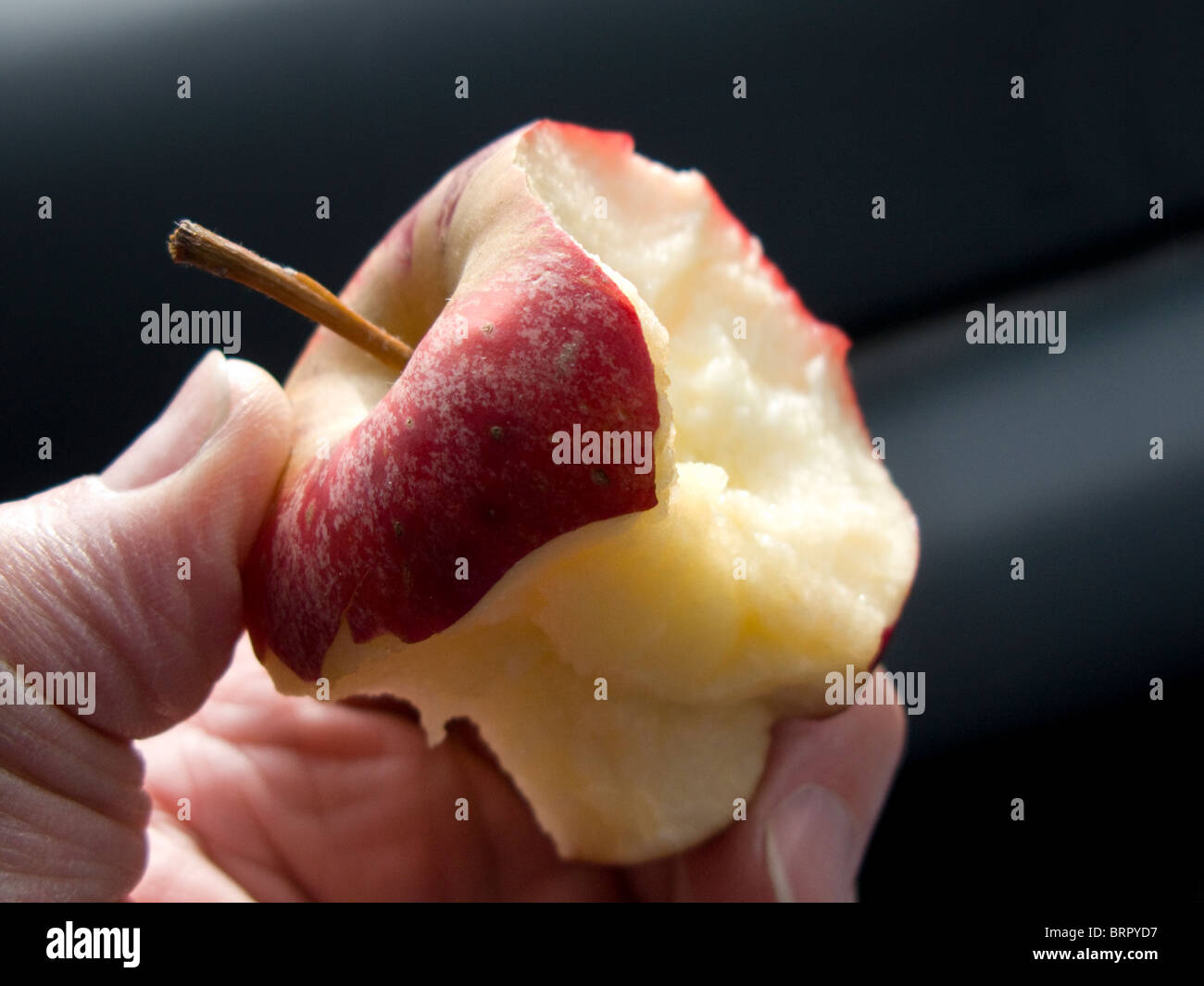 Vom menschen gegessen -Fotos und -Bildmaterial in hoher Auflösung – Alamy