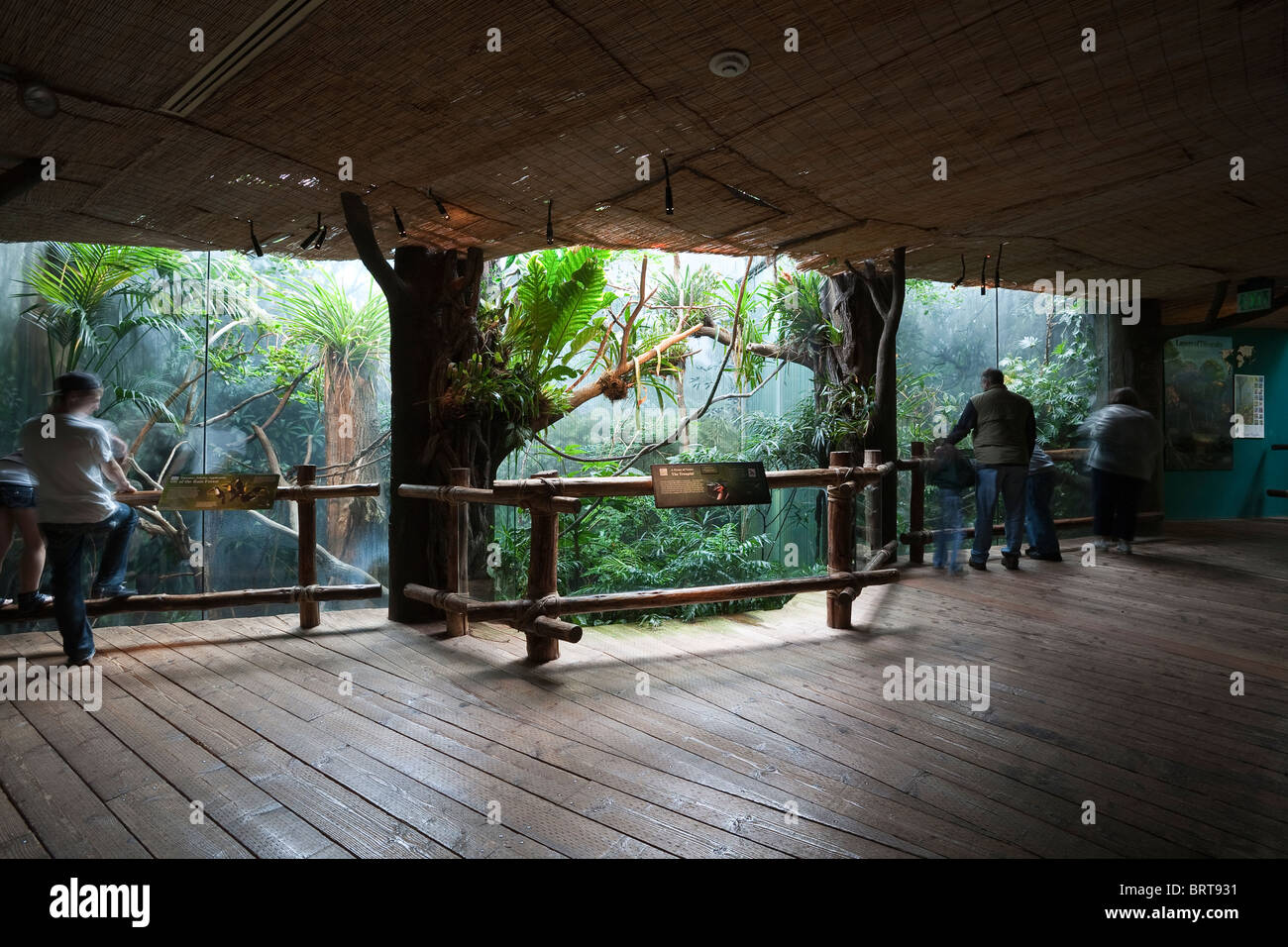 Zoo rail -Fotos und -Bildmaterial in hoher Auflösung – Alamy