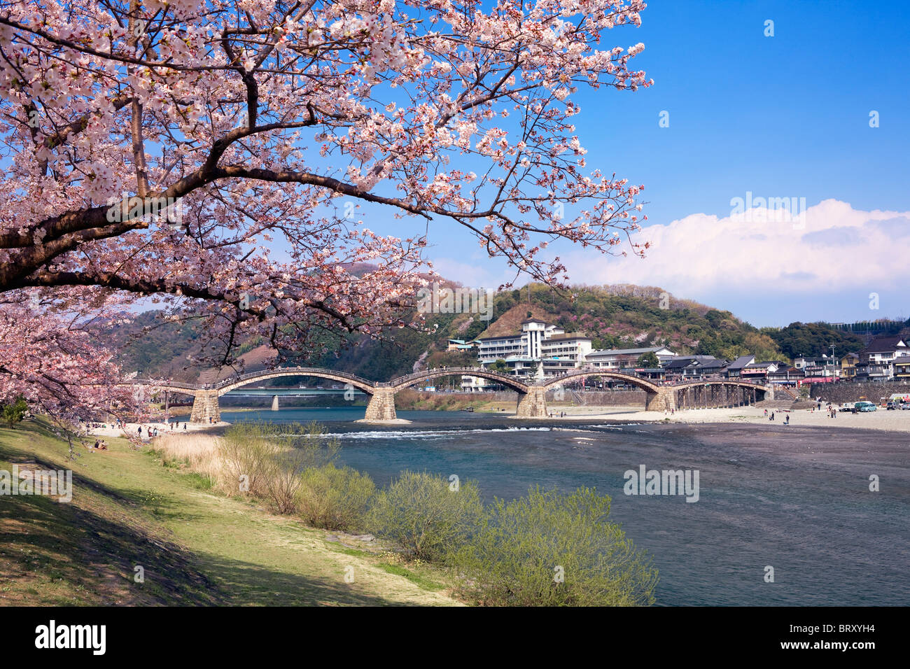 Kintai Brücke und Kirschblüten, Präfektur Yamaguchi, Honshu, Japan ...