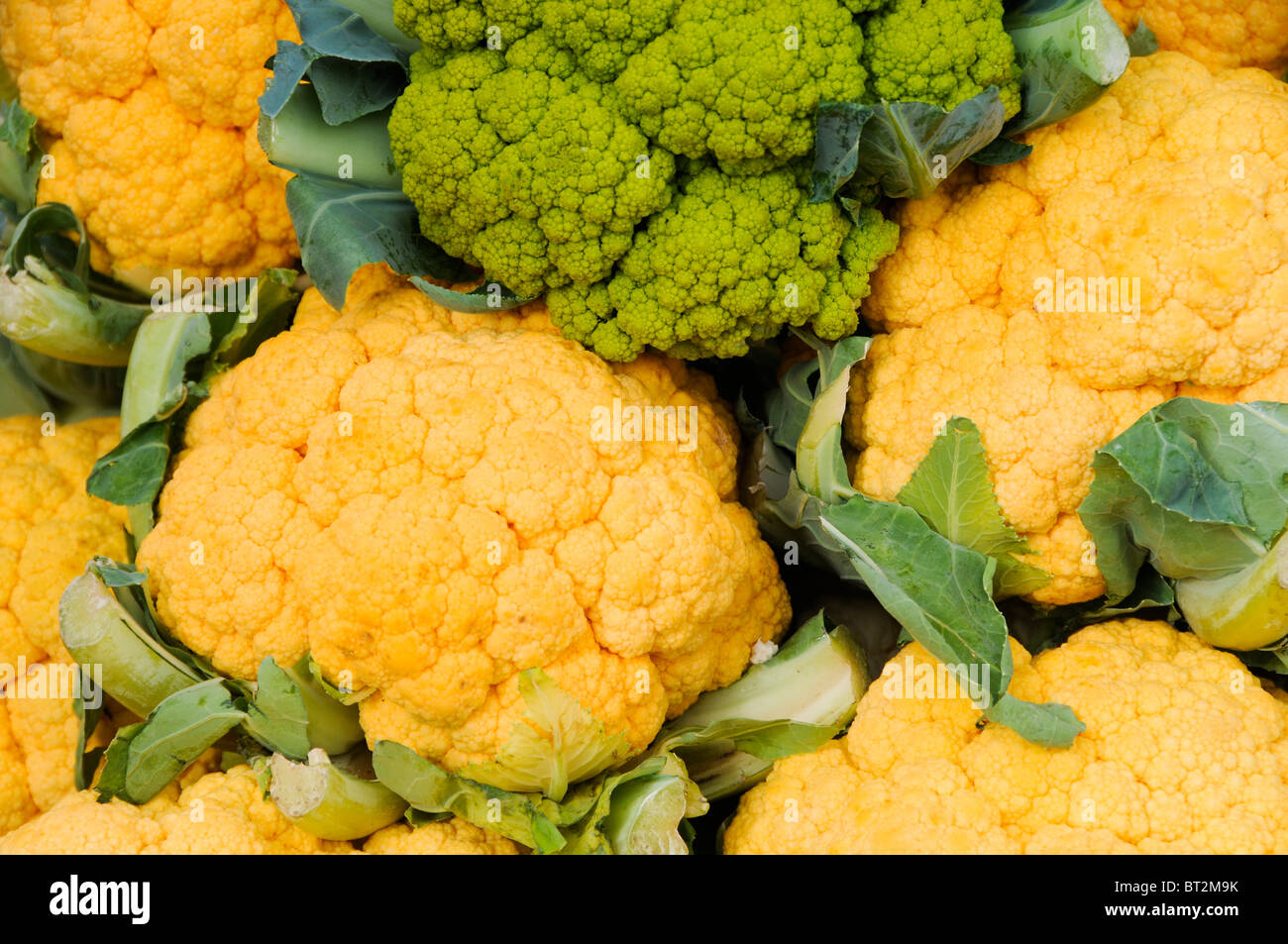Gemuese sorten -Fotos und -Bildmaterial in hoher Auflösung – Alamy