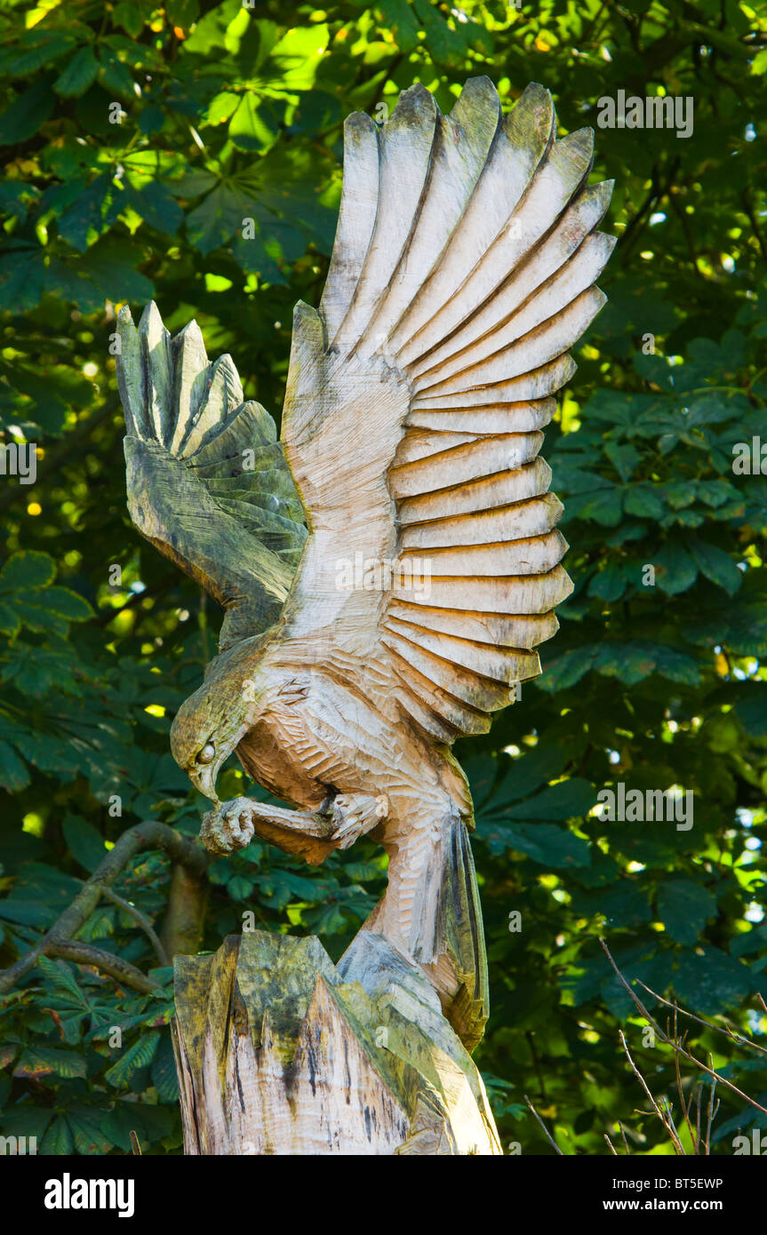 Aus holz geschnitzter adler -Fotos und -Bildmaterial in hoher Auflösung – Alamy