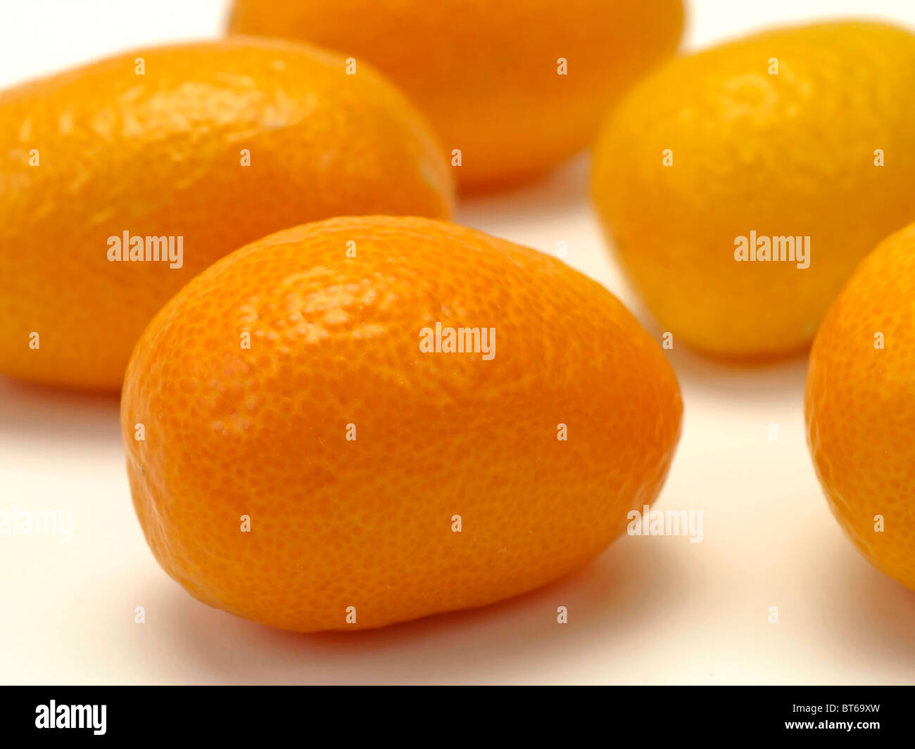 Kleine bittere frucht -Fotos und -Bildmaterial in hoher Auflösung – Alamy