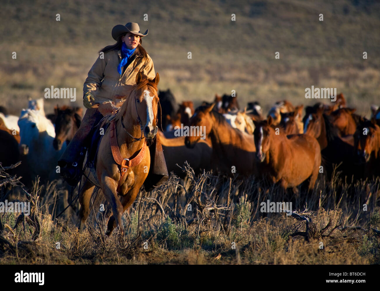 Sombrero Ranch Stockfotos und -bilder Kaufen - Alamy