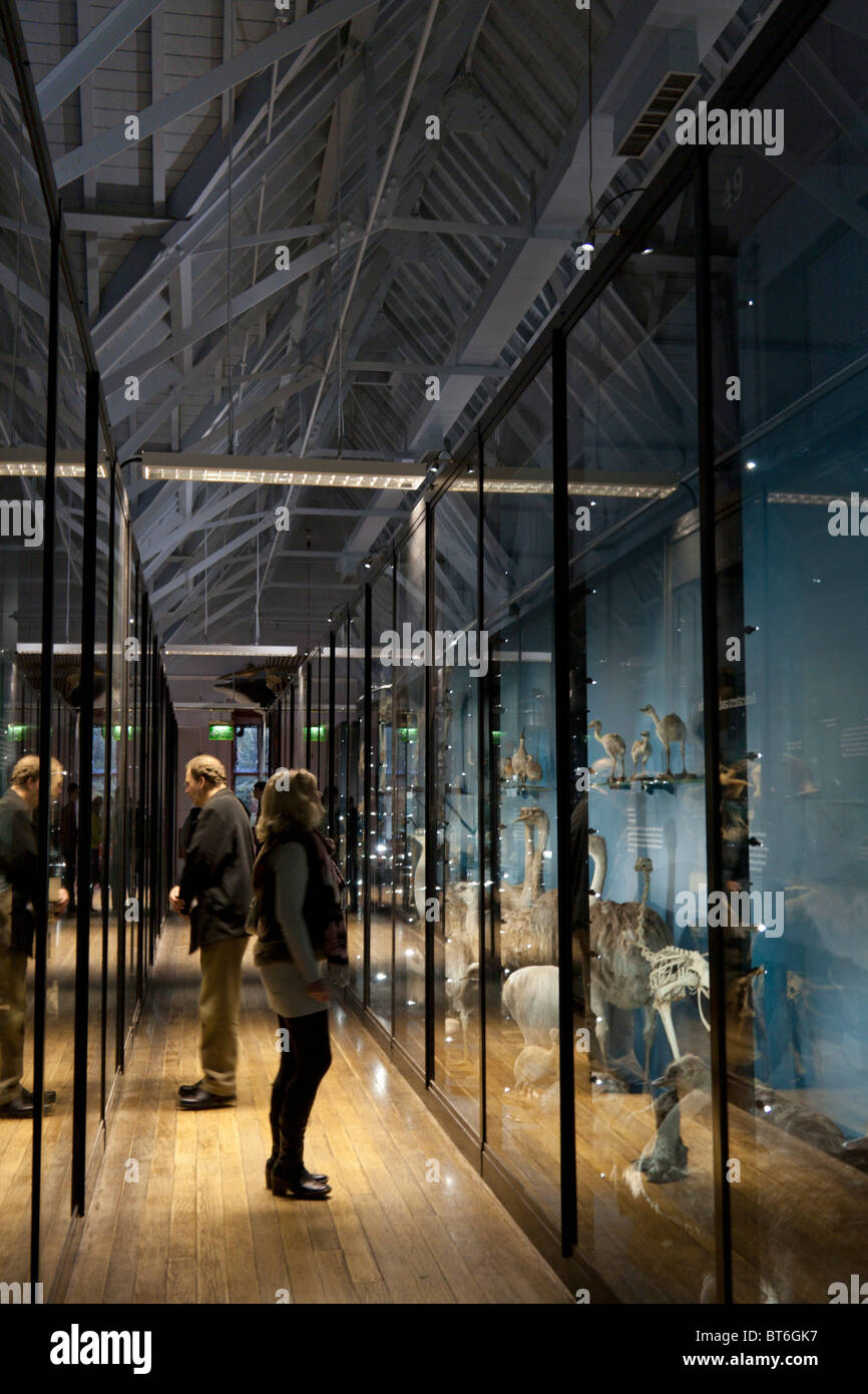 Natural History Museum Tring - Hertfordshire Stockfotografie - Alamy Natural History Museum Tring - Hertfordshire Stockfotografie - Alamy