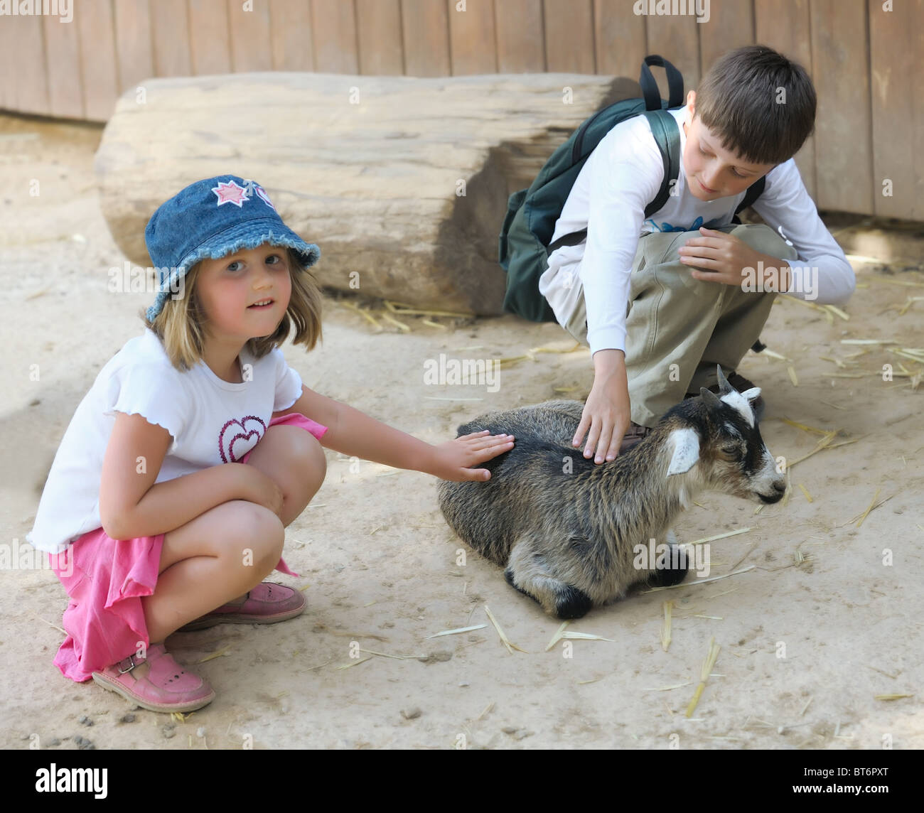 Tiere im zoo -Fotos und -Bildmaterial in hoher Auflösung – Alamy