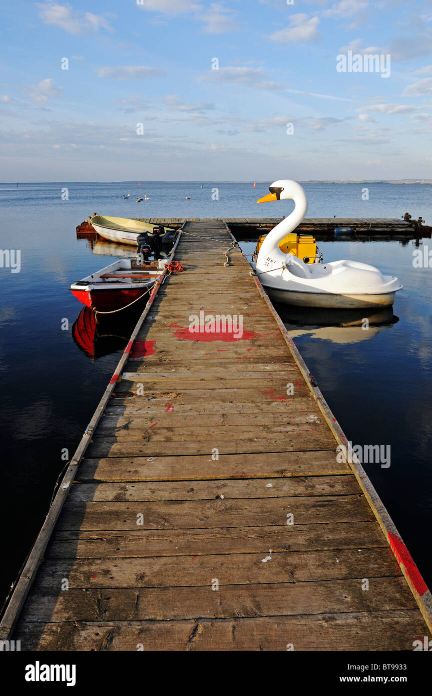 Tretboot in Form eines Schwans im Abendlicht, Ralswiek am großen ...