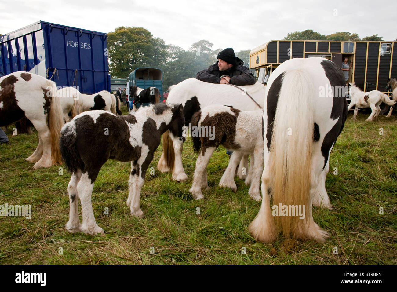 Zwei zigeuner auf einem pferd -Fotos und -Bildmaterial in hoher ...