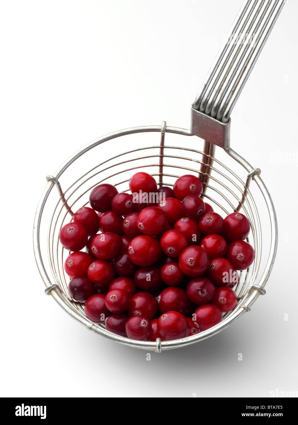 Die kranbeeren -Fotos und -Bildmaterial in hoher Auflösung – Alamy