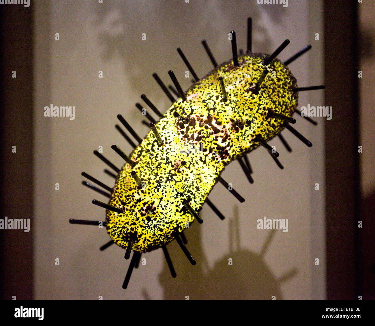 Beulenpest Stockfotos und -bilder Kaufen - Alamy