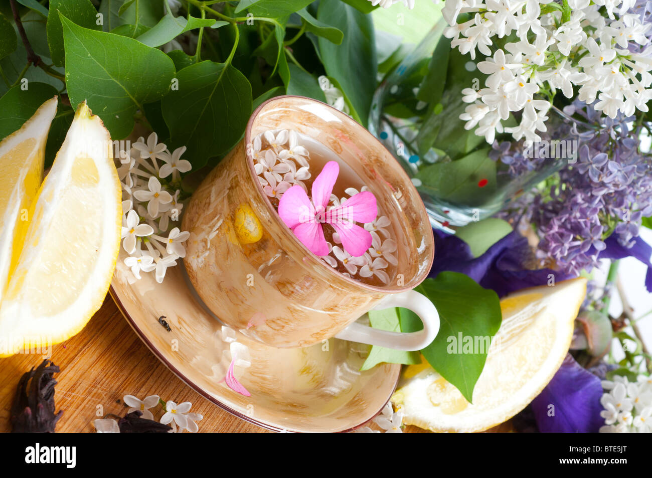 Tasse Tee und Spring Branch, Blume Stockfotografie - Alamy