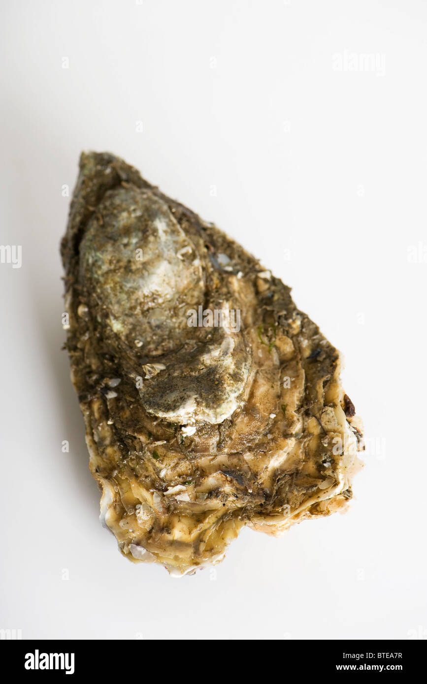 Austere facade -Fotos und -Bildmaterial in hoher Auflösung – Alamy