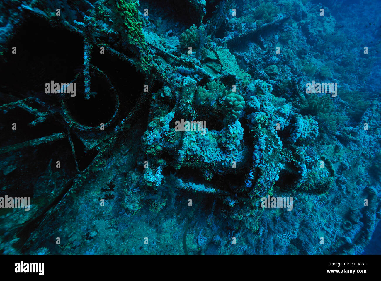 Numidien Wrack, Big Brother Island, Ägypten, Rotes Meer Stockfotografie ...