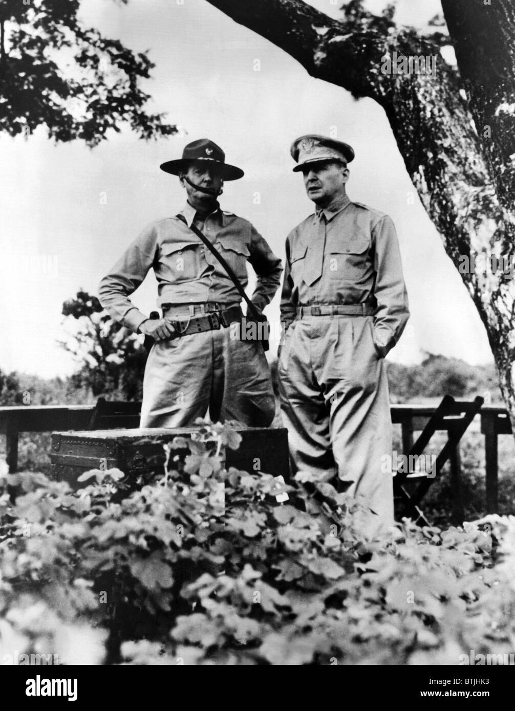 Douglas major -Fotos und -Bildmaterial in hoher Auflösung – Alamy