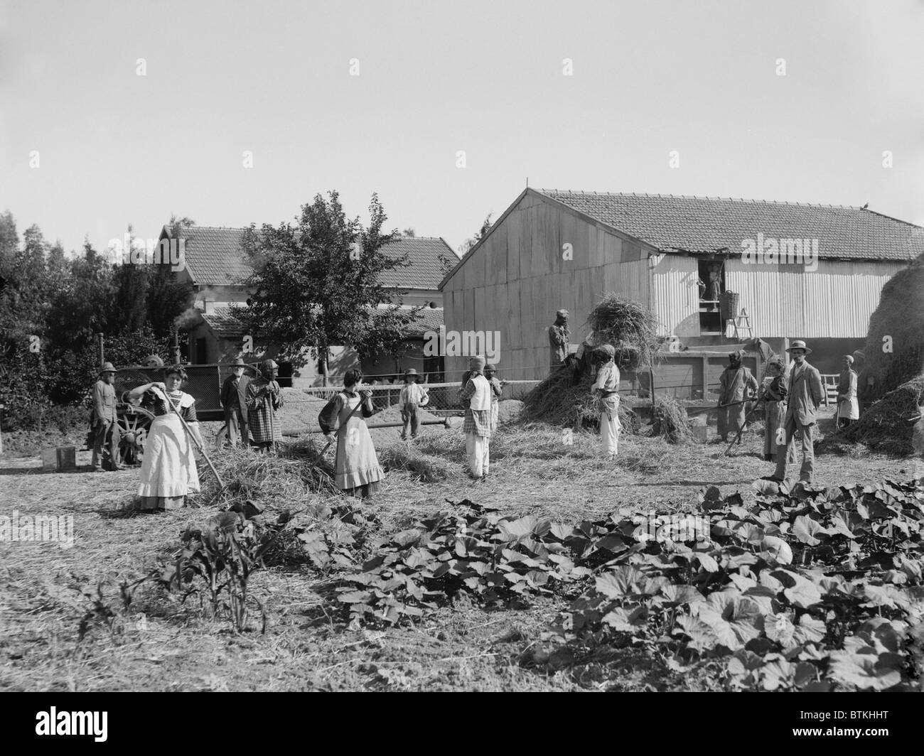 Kibbuz der 1930er jahre -Fotos und -Bildmaterial in hoher Auflösung – Alamy