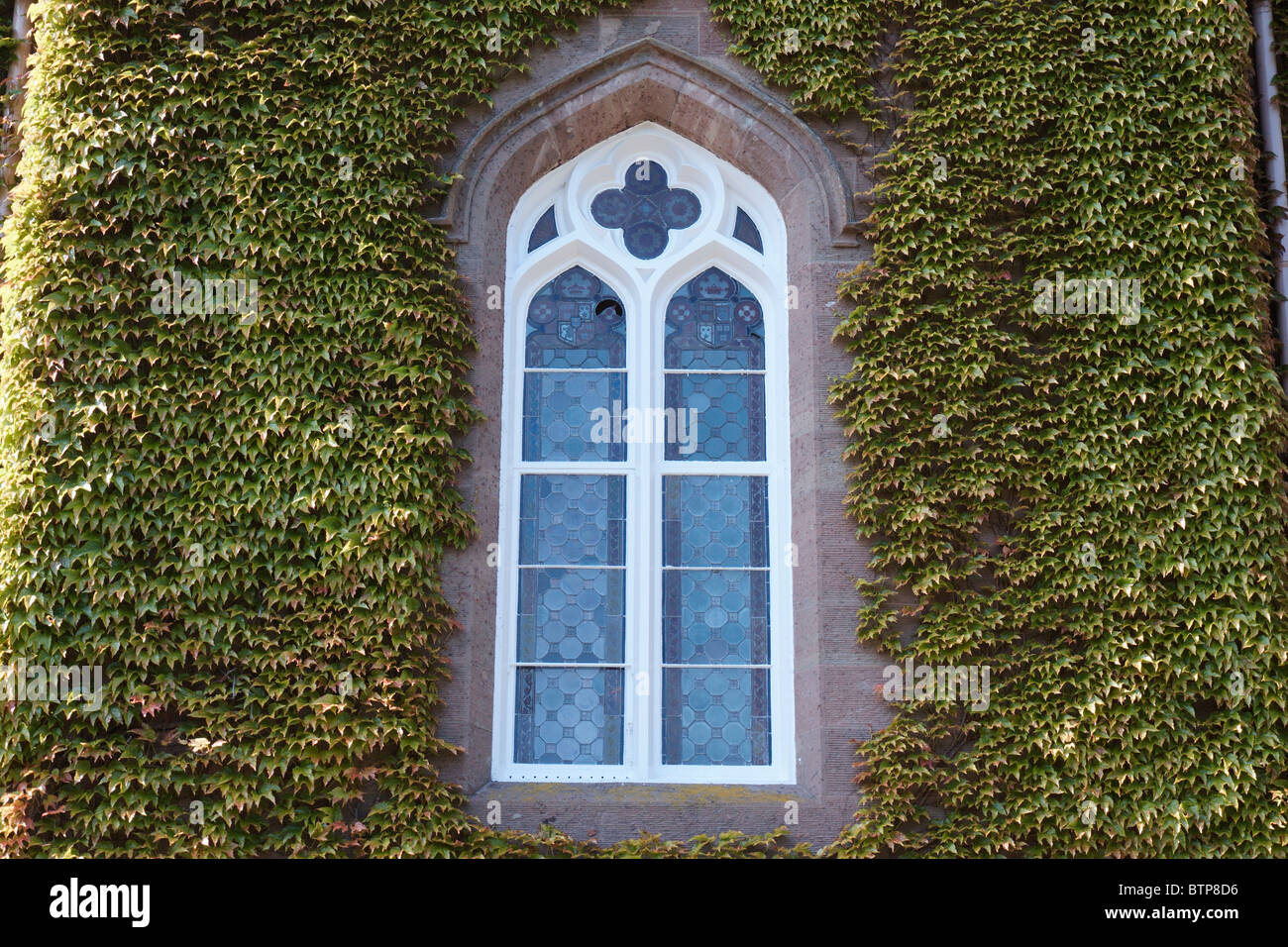 Wanddetail mit efeu -Fotos und -Bildmaterial in hoher Auflösung – Alamy