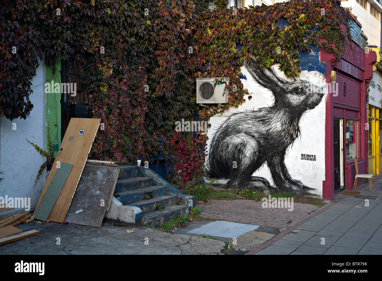 Roa rabbit -Fotos und -Bildmaterial in hoher Auflösung – Alamy