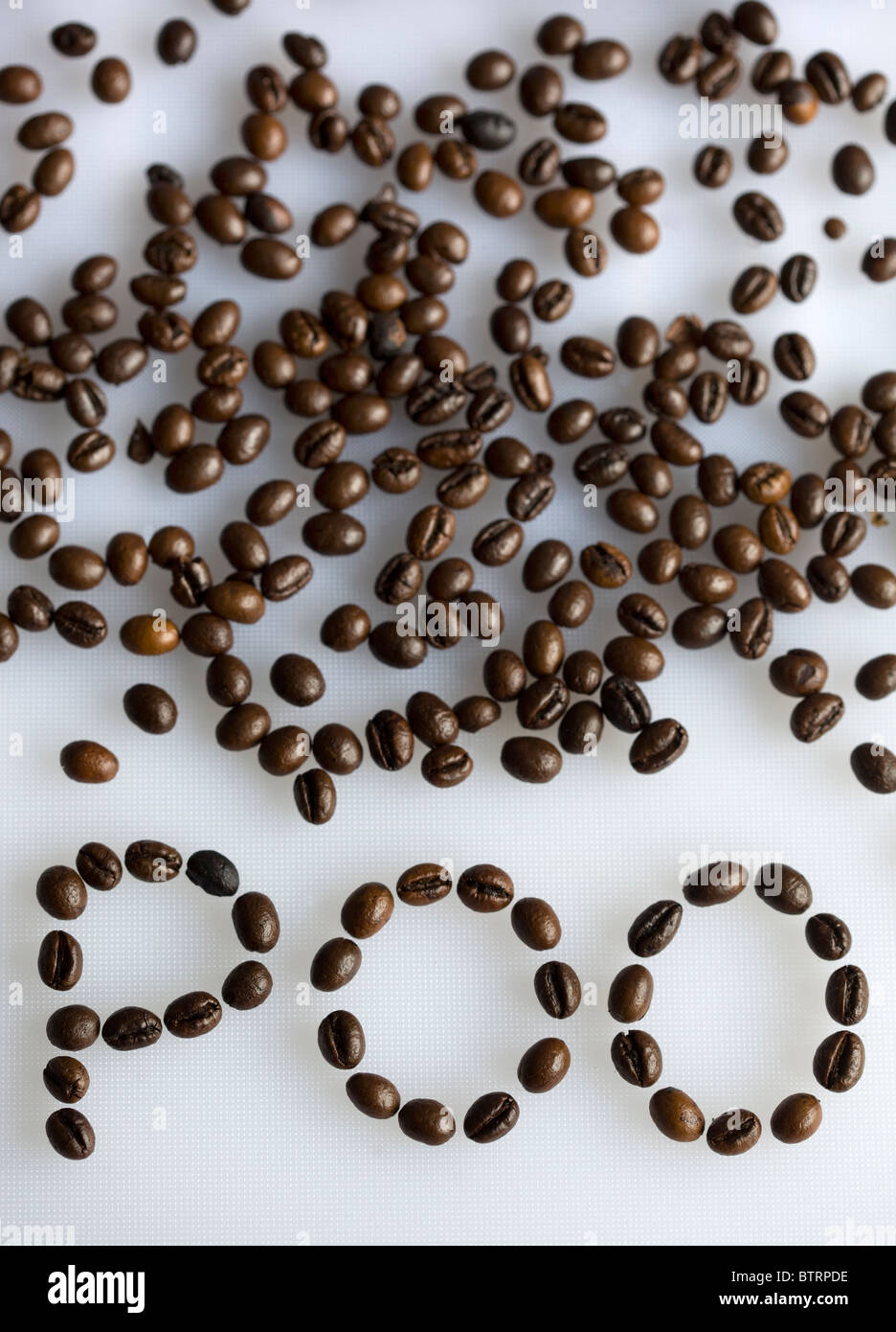 Kopi Luwak Civit Cat Coffee Beans - ein Beispiel für das seltsame oder ...