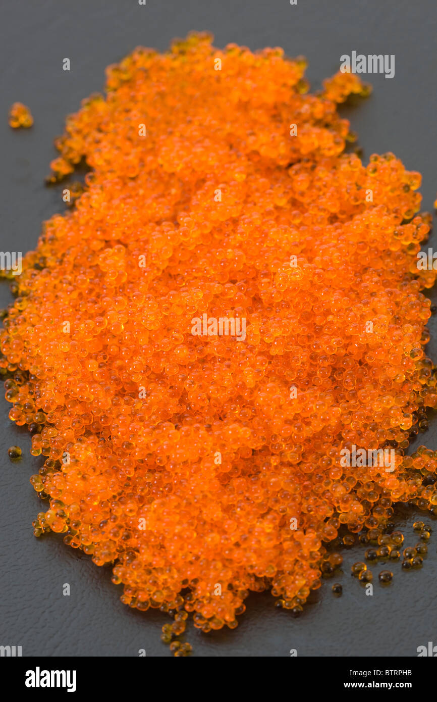 Fliegender fisch rogen -Fotos und -Bildmaterial in hoher Auflösung – Alamy