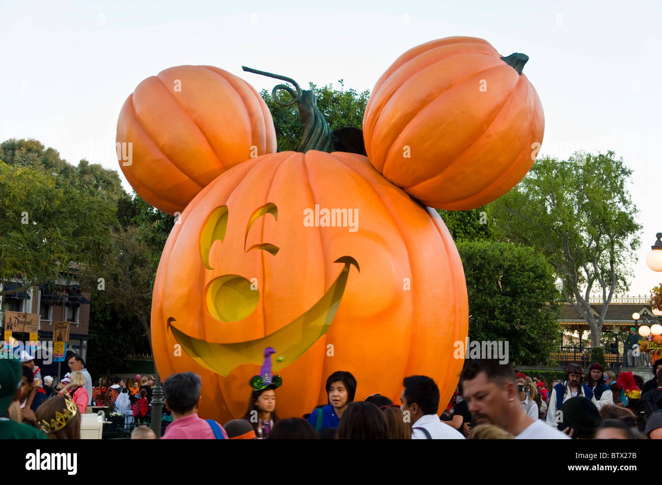 Mickey mouse kürbis -Fotos und -Bildmaterial in hoher Auflösung – Alamy