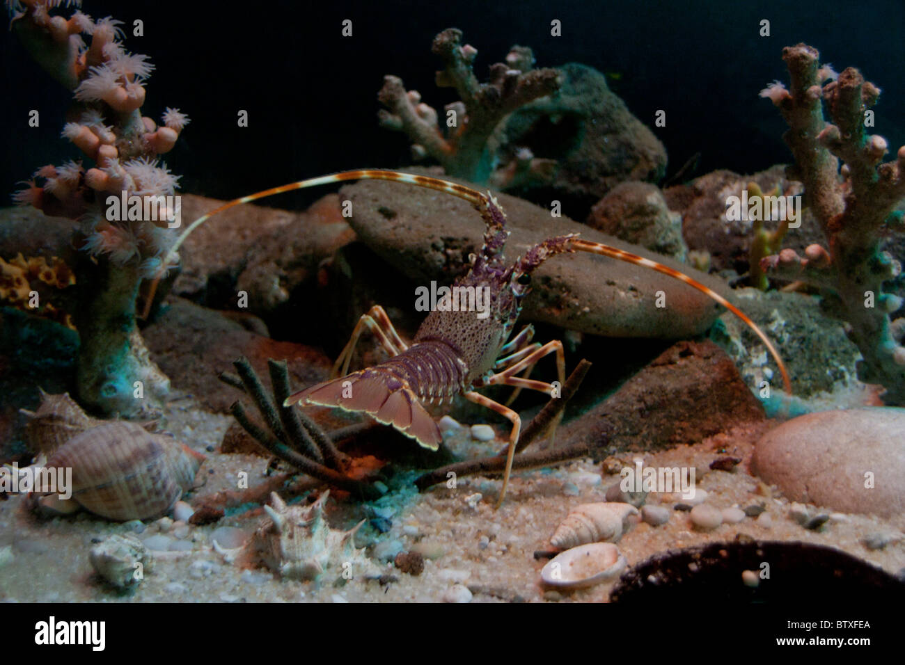 Meeres antenne -Fotos und -Bildmaterial in hoher Auflösung – Alamy