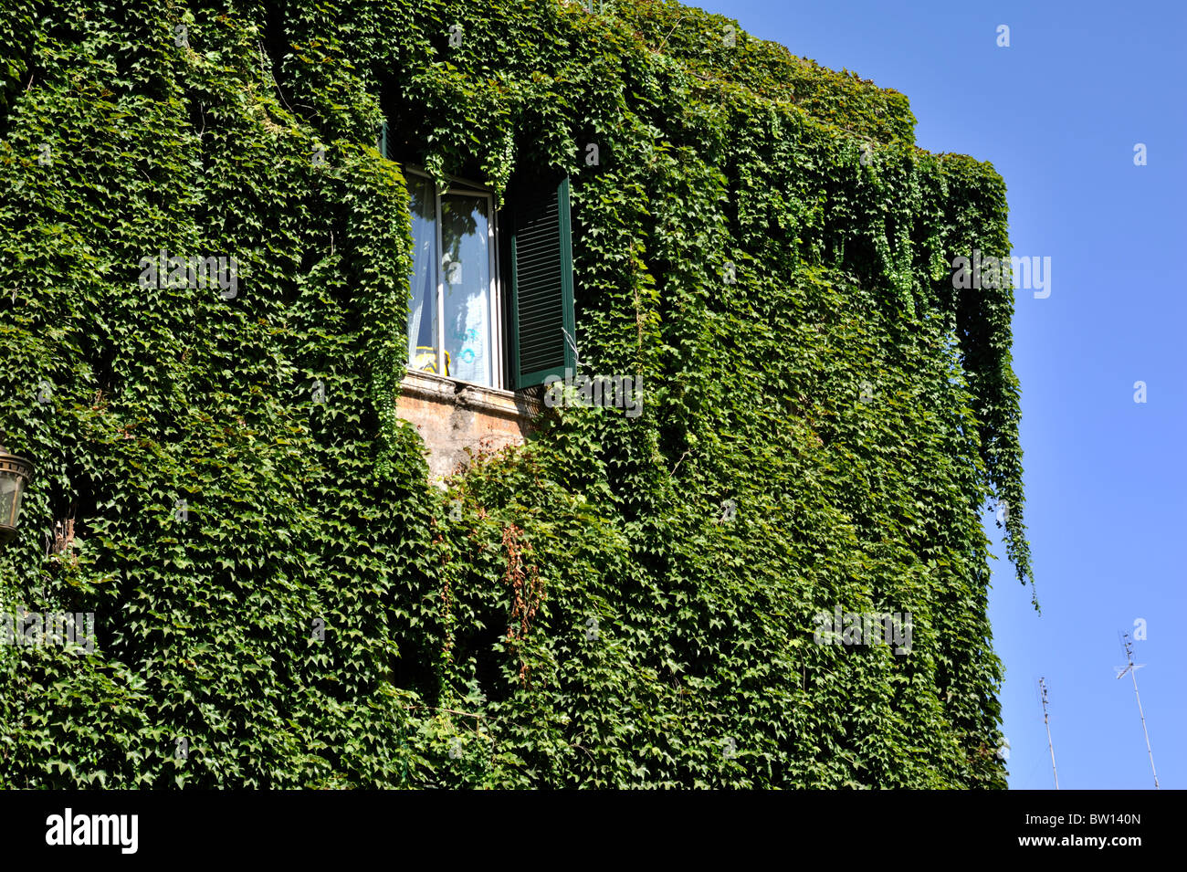 Mit efeu bewachsenes haus -Fotos und -Bildmaterial in hoher Auflösung ...