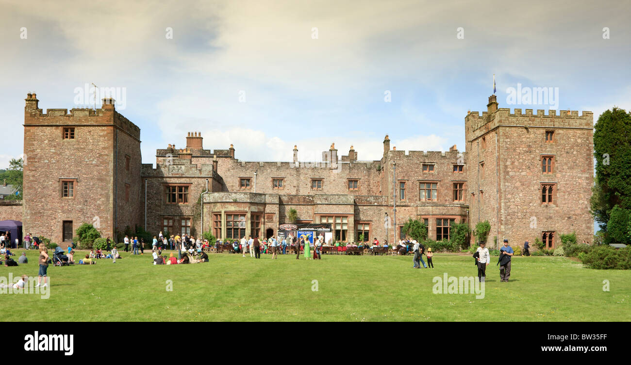 Tom narr -Fotos und -Bildmaterial in hoher Auflösung – Alamy