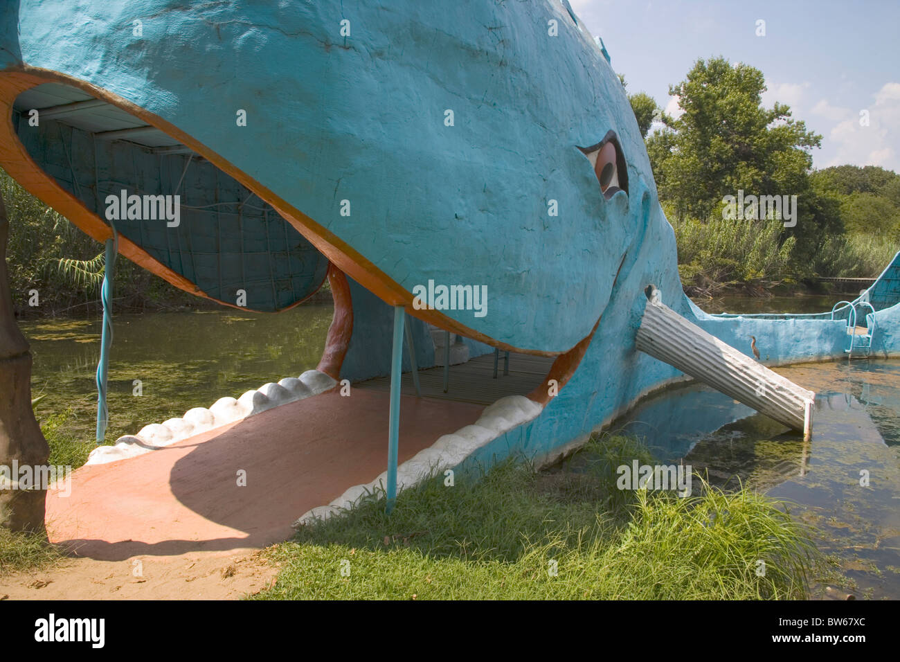 Blauwal catoosa -Fotos und -Bildmaterial in hoher Auflösung – Alamy