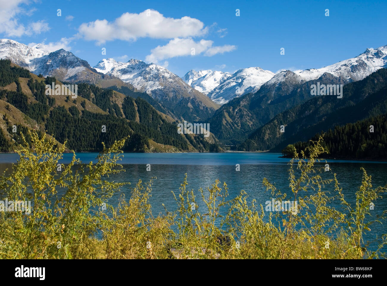 Tianshan tianchi -Fotos und -Bildmaterial in hoher Auflösung – Alamy