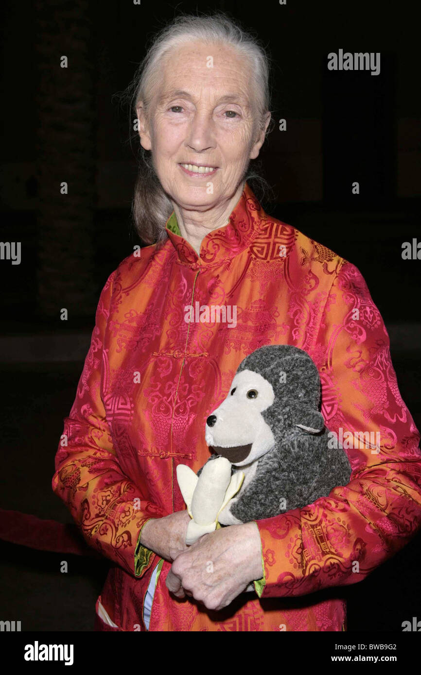 'jane goodall' -Fotos und -Bildmaterial in hoher Auflösung – Alamy