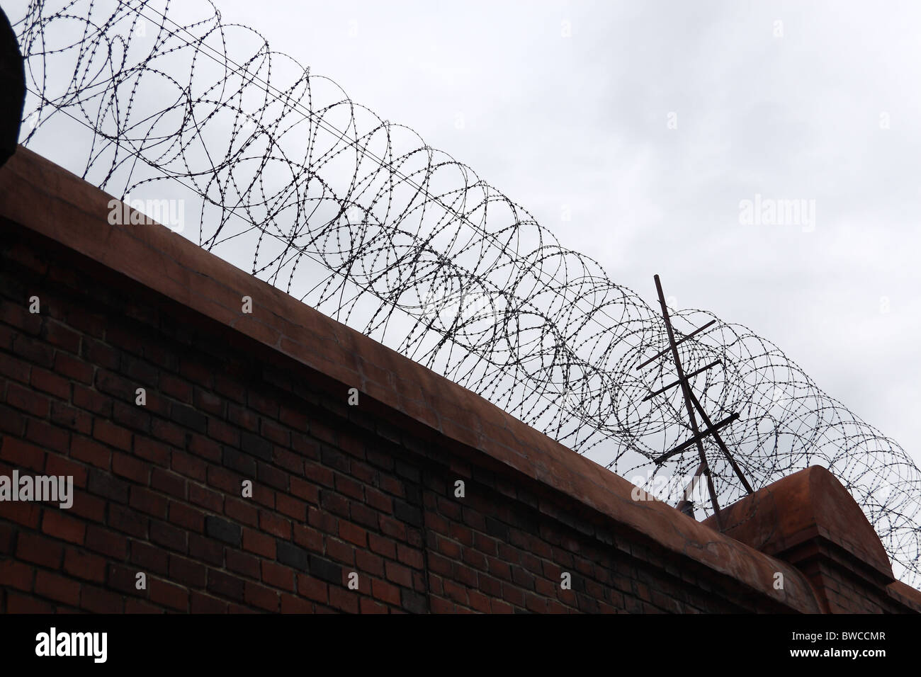 Barbed draht -Fotos und -Bildmaterial in hoher Auflösung – Alamy