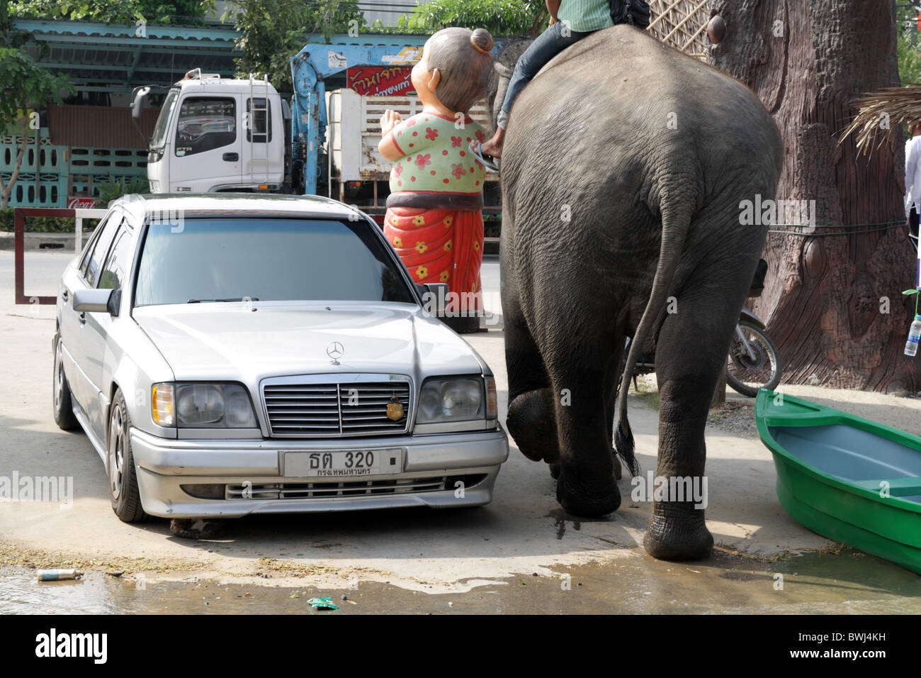Elefant und auto -Fotos und -Bildmaterial in hoher Auflösung – Alamy