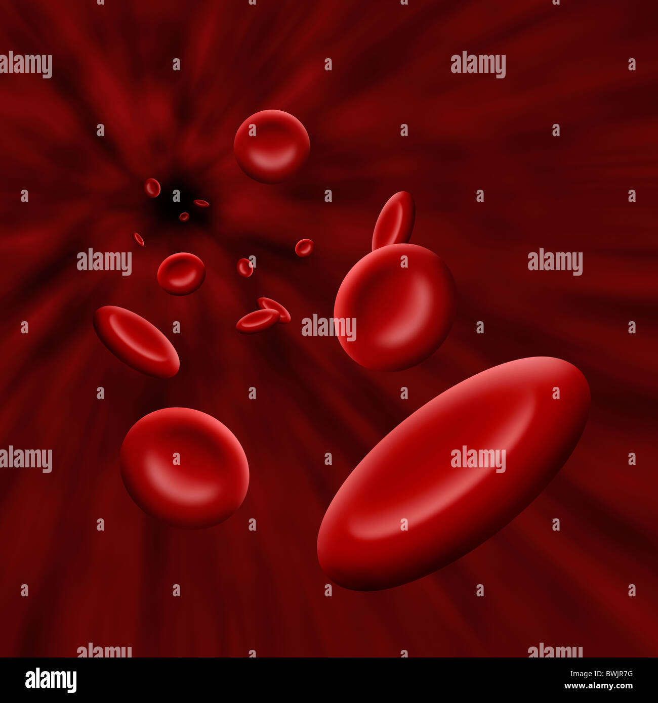 Illustration der Thrombozyten Zellen durch Blut fließt Stockfotografie ...