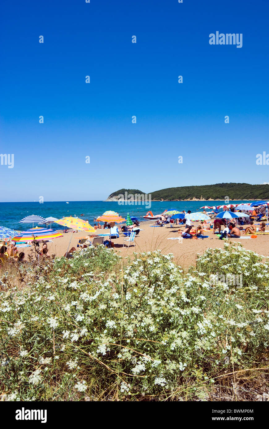 Baratti Populonia Strand, Baratti, Provinz Livorno, Toskana, Italien ...