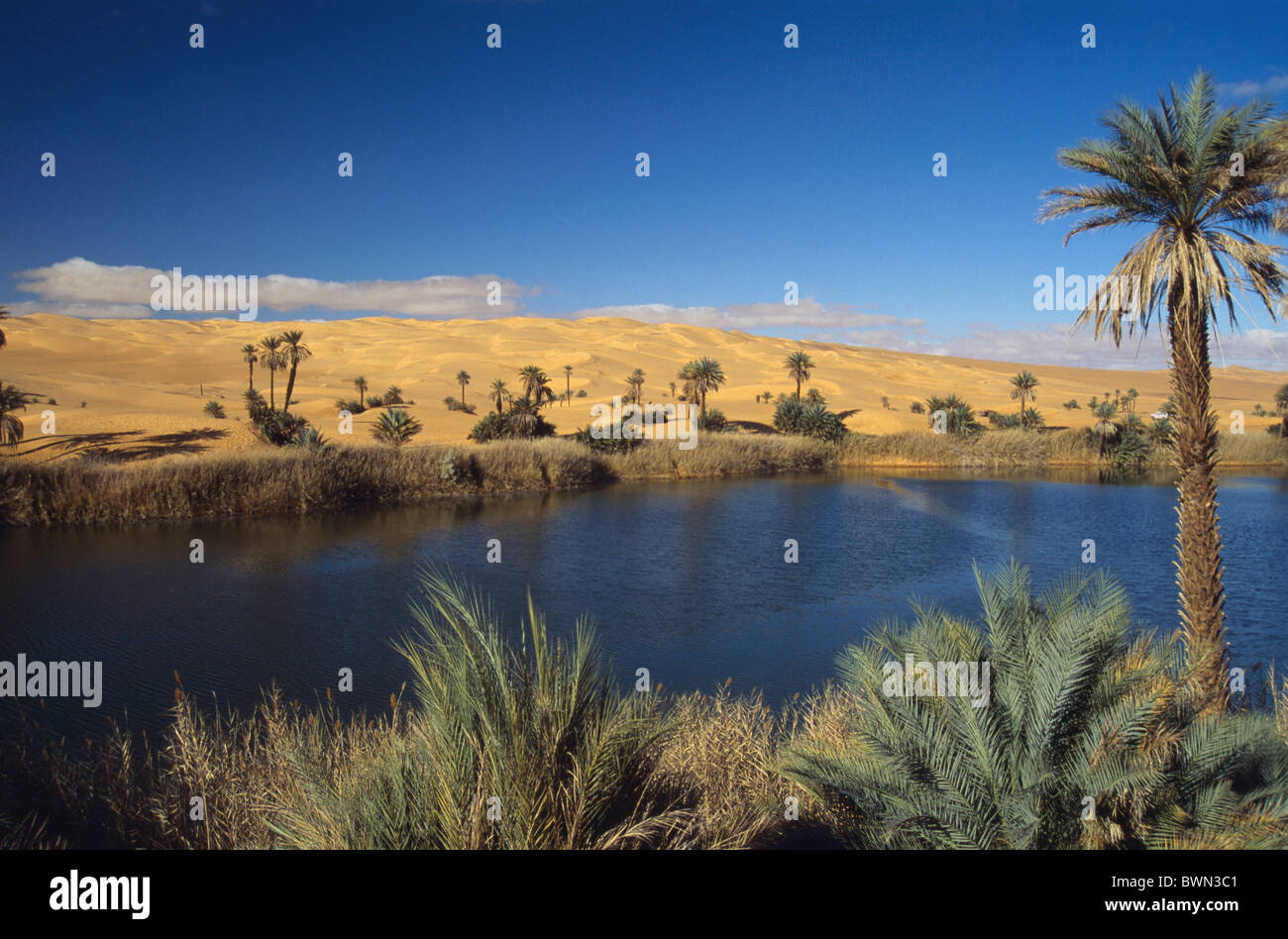 Ubari seen -Fotos und -Bildmaterial in hoher Auflösung – Alamy