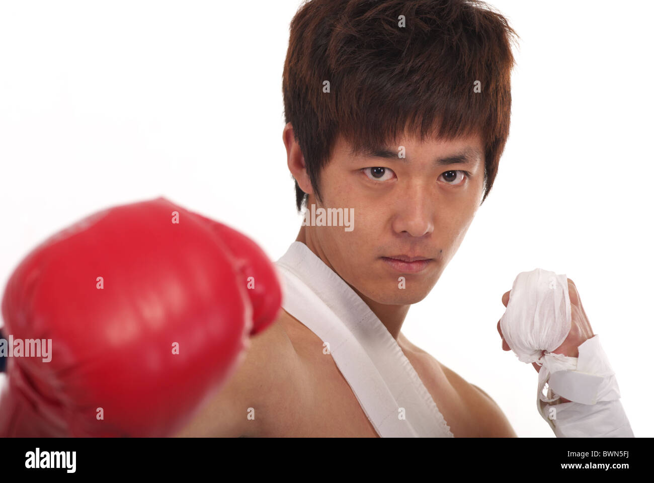 Verwundeter boxer Stockfotos und -bilder Kaufen - Alamy