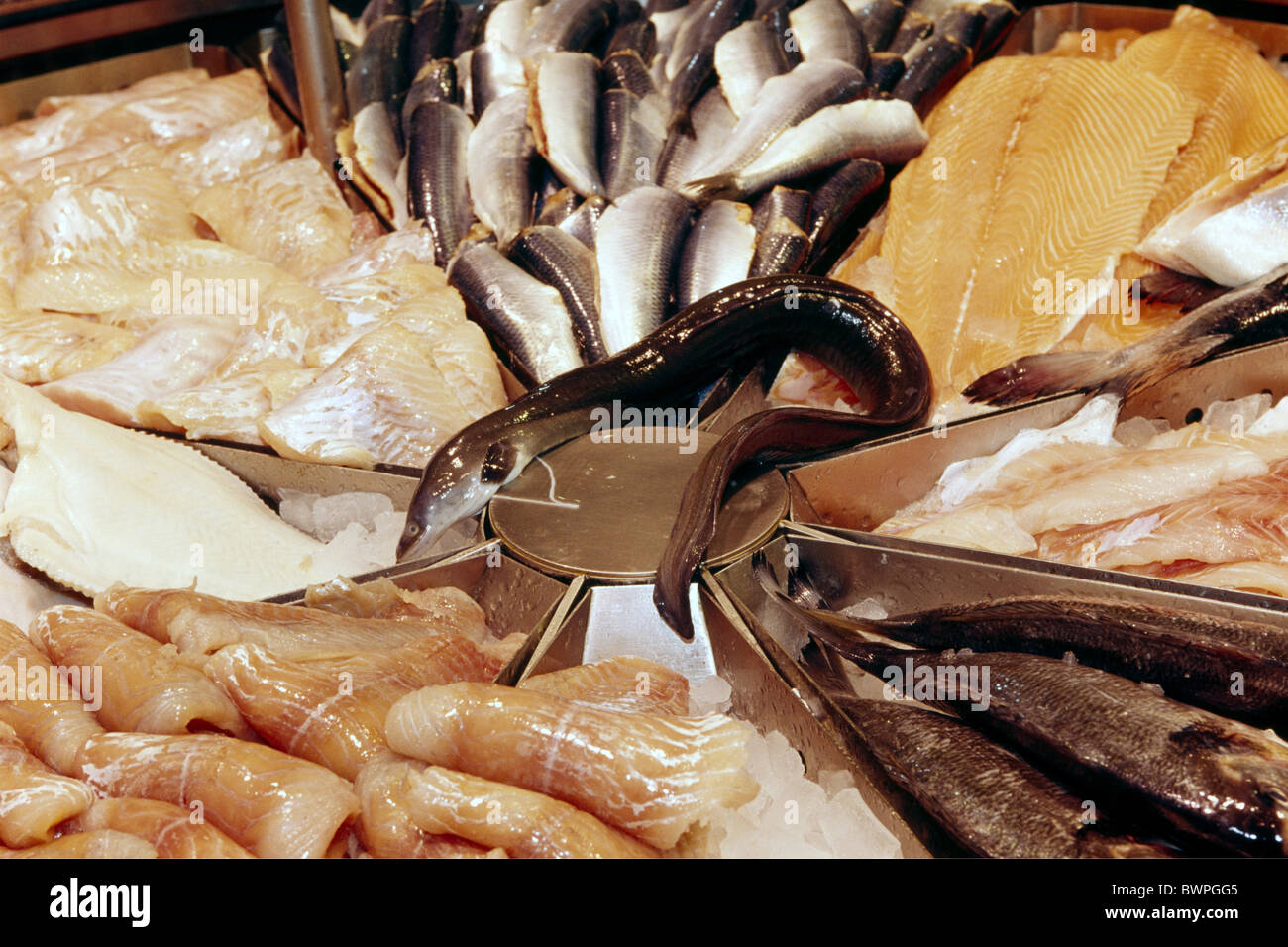 Deutschland Europa Eckernforde Schleswig-Holstein Aal Fischmarkt ...
