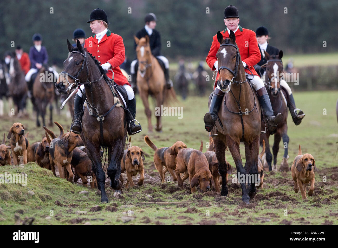 Hunting -Fotos und -Bildmaterial in hoher Auflösung – Alamy
