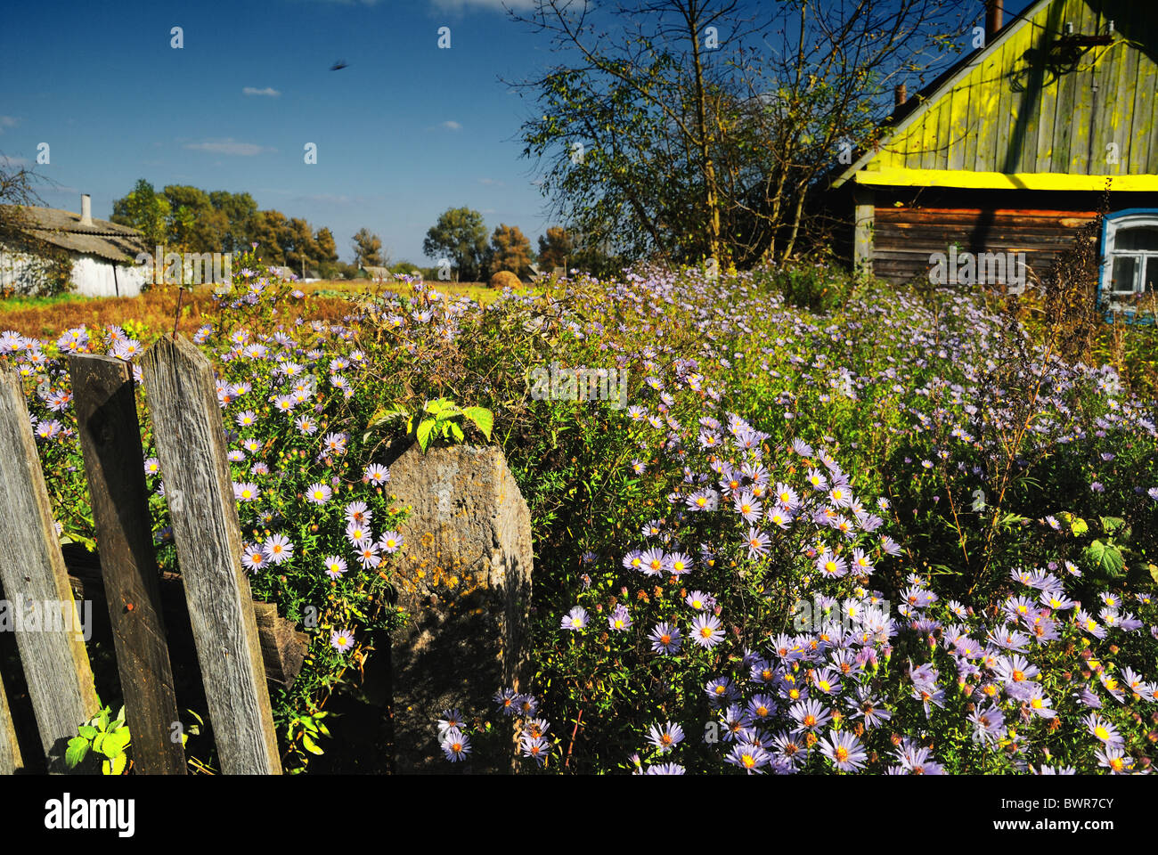 Auf ukrainisch -Fotos und -Bildmaterial in hoher Auflösung – Alamy