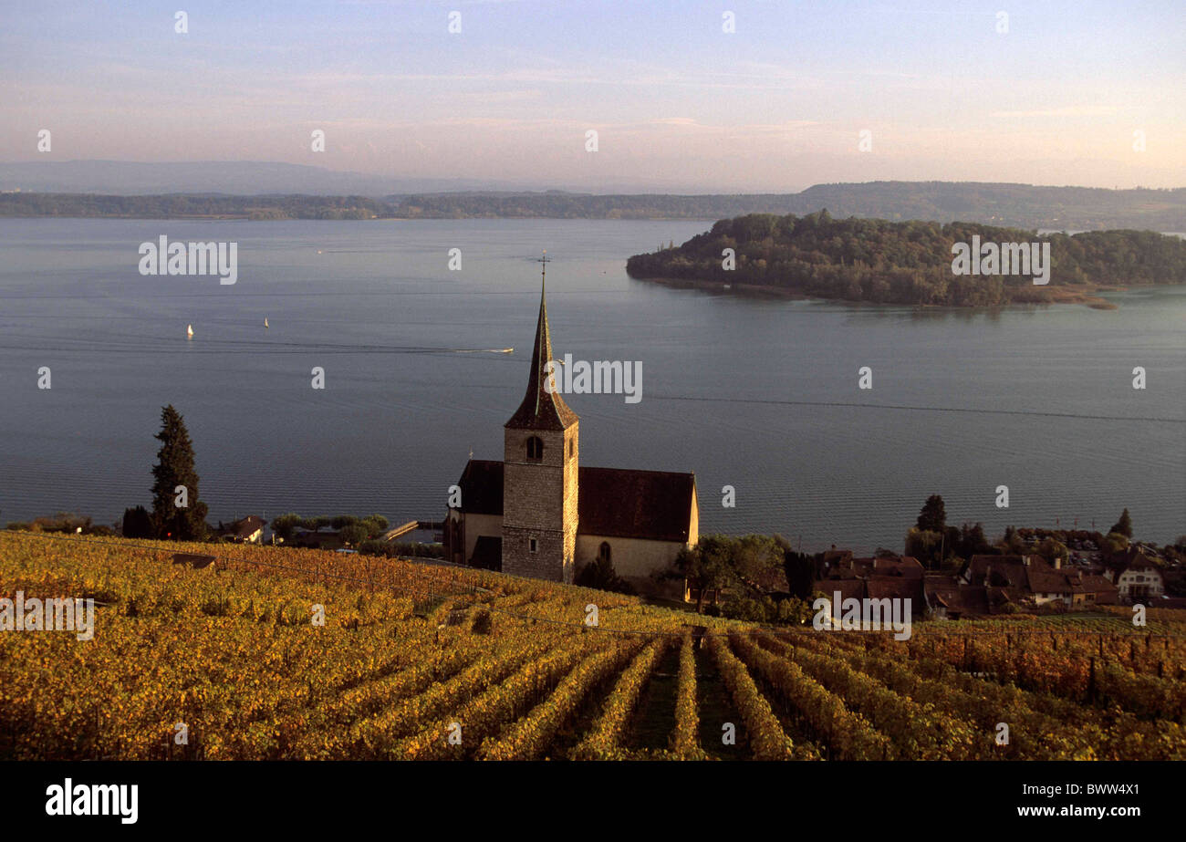 Schweiz Europa Kanton Bern Ligerz Bielersee st. Peter Insel Sankt ...